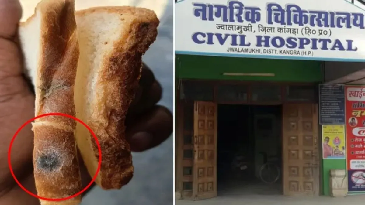 Himachal Govt Hospital Under Fire After Viral Video Shows Mouldy Bread ...