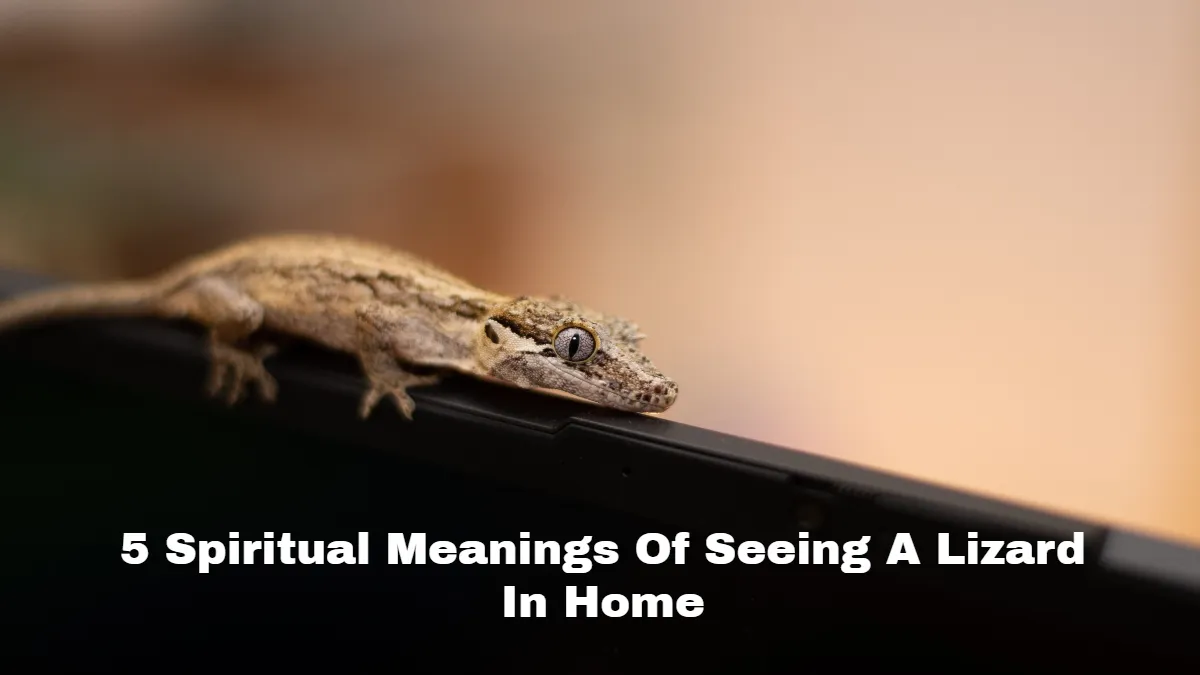 5 Spiritual Meanings Of Seeing A Lizard In Home: Good Luck Or Bad Sign?